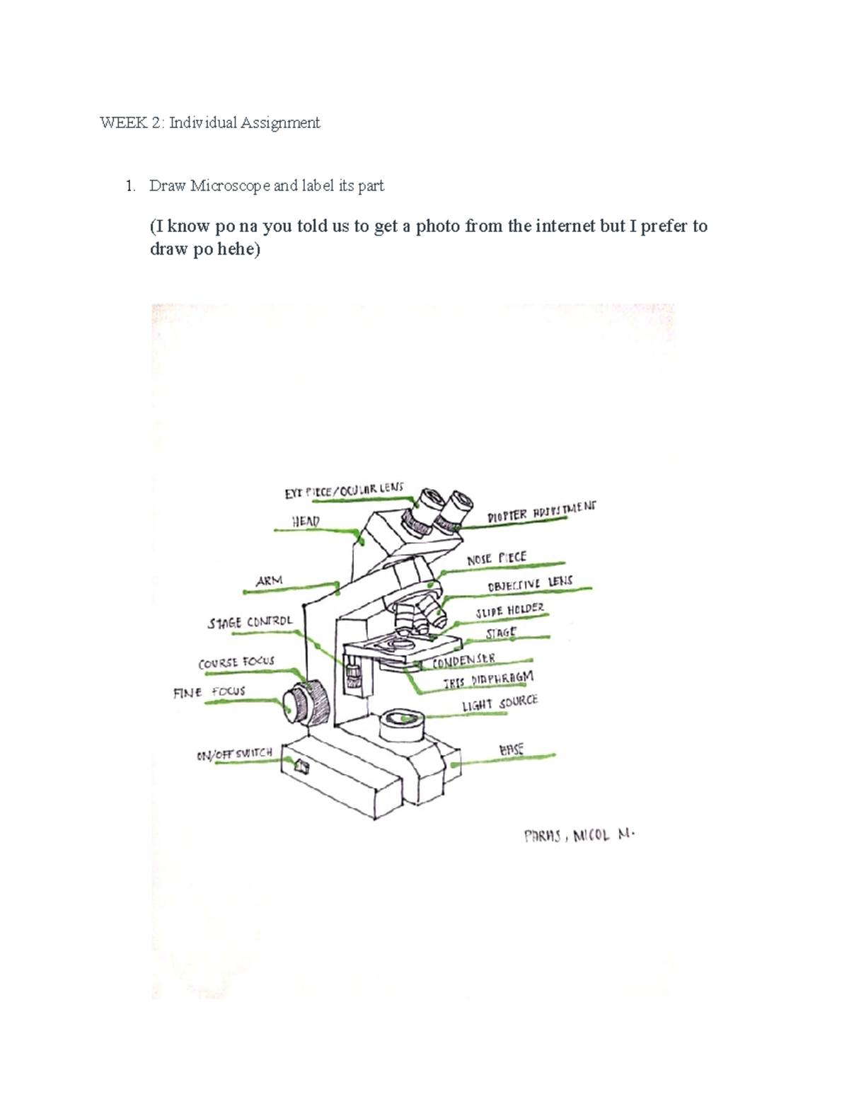 WEEK 2- Bacte LEC Assignment - WEEK 2: Individual Assignment Draw ...
