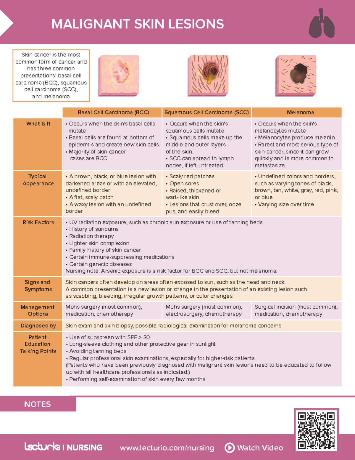 Nursing CS Malignant skin lesions-1 - lecturio/nursing Watch Video ...