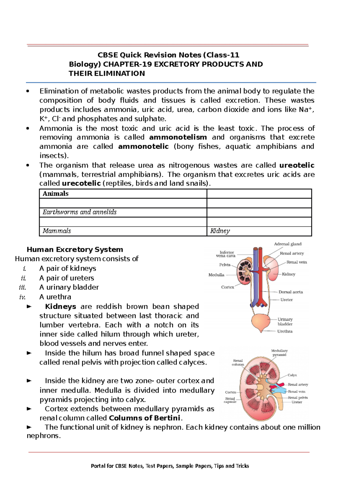 11 biology notes ch19 excretory products and their elimination - CBSE ...