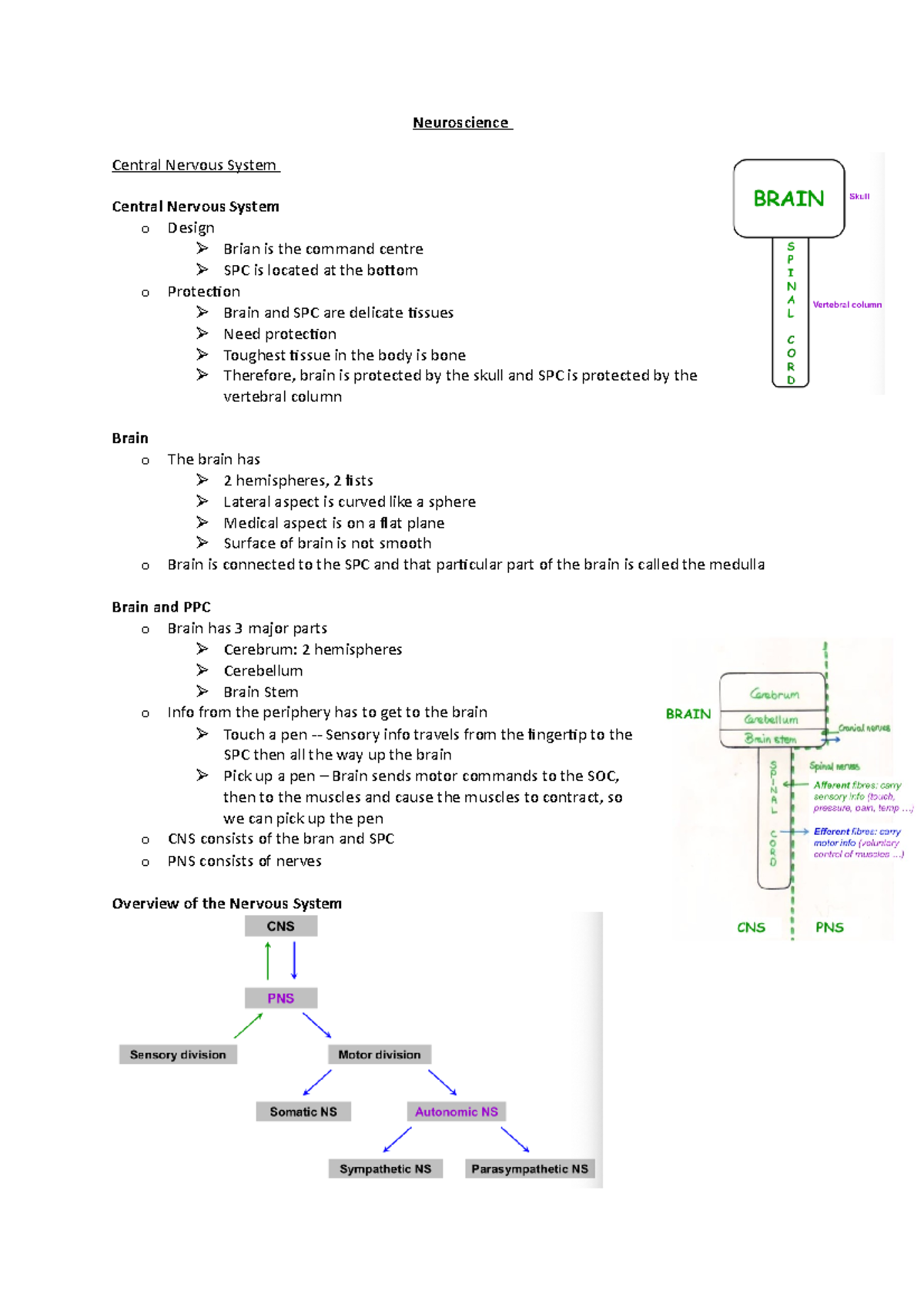 Week 1 Neuro - Lecture notes 1-6 - Neuroscience Central Nervous System ...