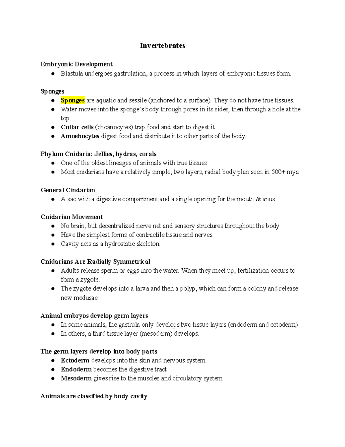 Invertebrates - Invertebrates Embryonic Development Blastula undergoes ...