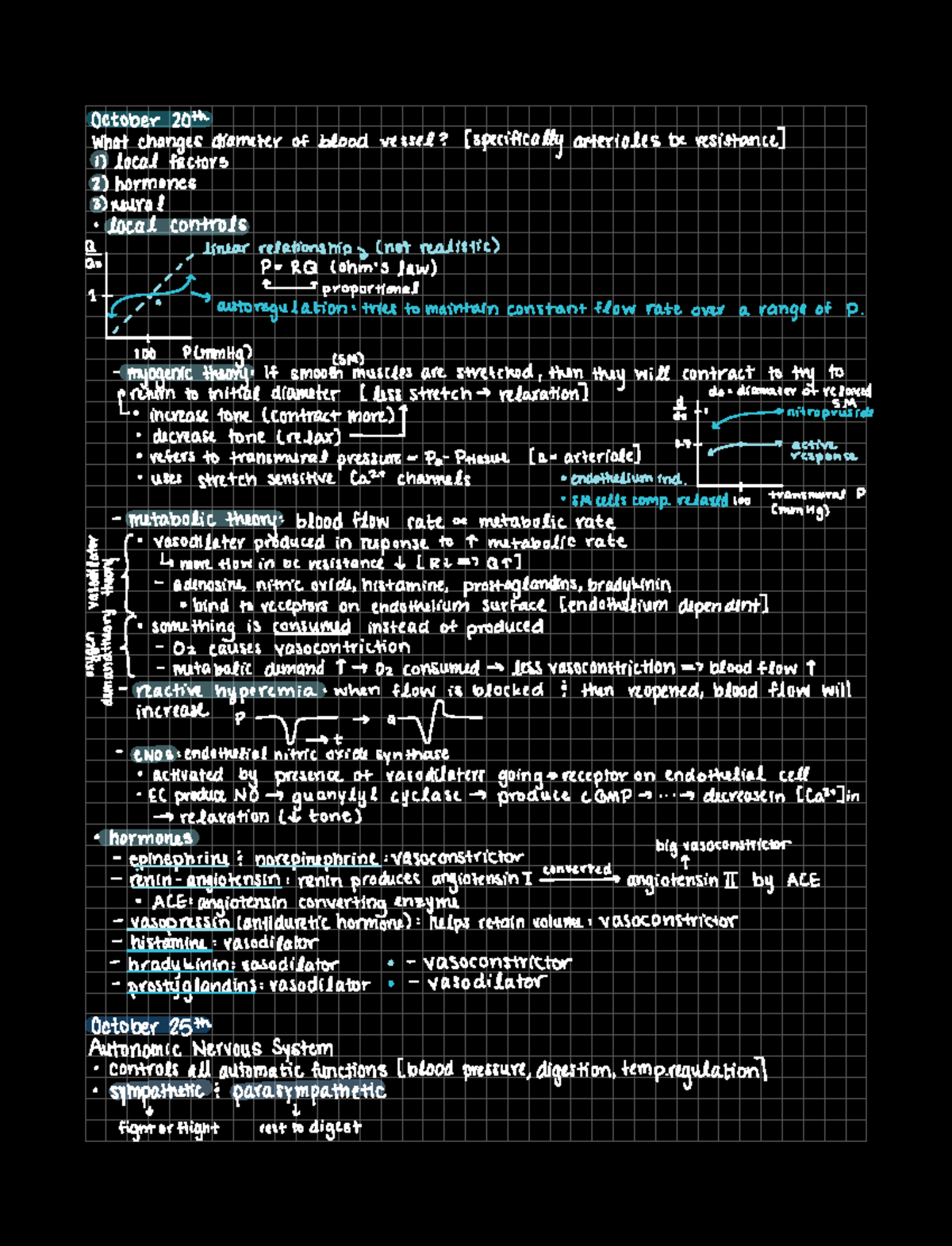 Physio Notes Unit 3 - October 20th Whatchangesdiameter of blood vessel ...
