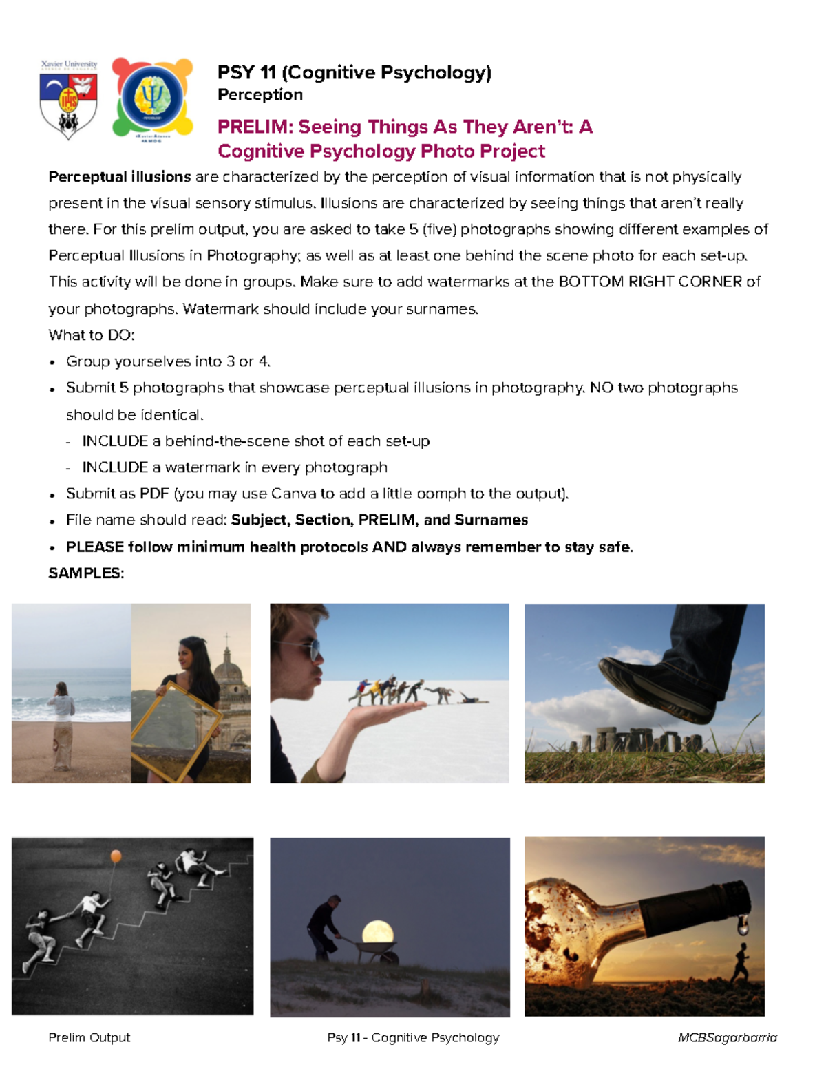 Prelim Instructions - Perceptual illusions are characterized by the ...