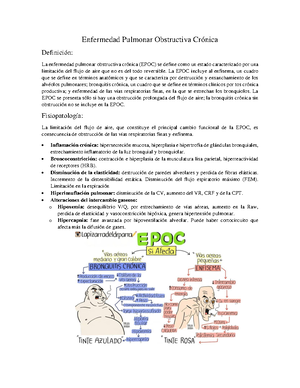 ACT. Musculos - CCCCCCCCCCCCCCCCCCCCCCCCCCCCCCCCCCCCCCCCCCC - TIPOS DE ...