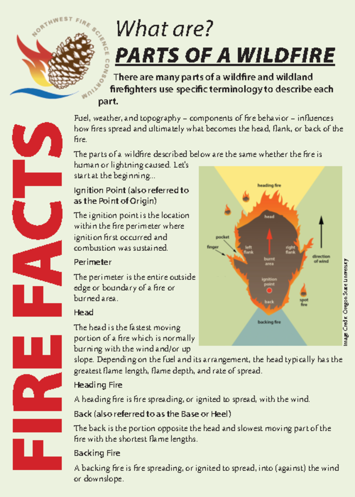 Httpswww.nwfirescience - What are? PARTS OF A WILDFIRE There are many ...