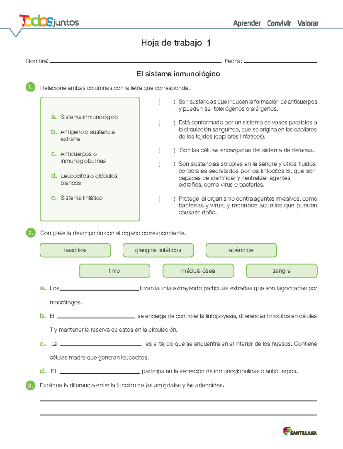 Ficha Sistema inmunologico 8 - Nombre: Fecha: Hoja de trabajo 1. 2. El sistema inmunológico 1 3 ...
