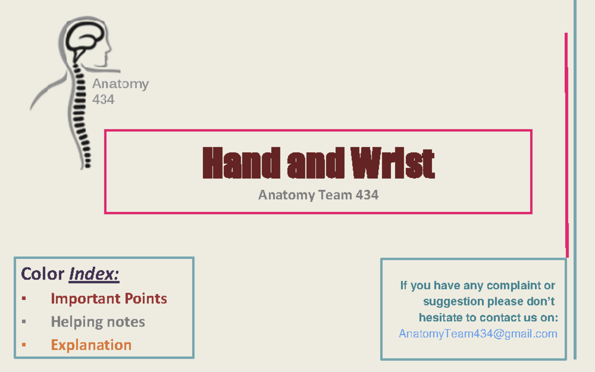 12.Hand and Wrist - Notes - Hand and Wrist Anatomy Team 434 Color Index ...