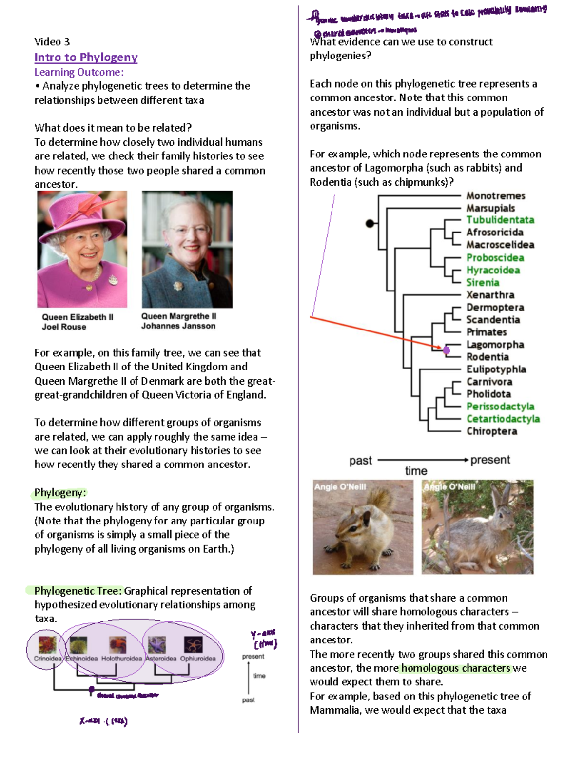 BIOL204 phylogeny - Lecture notes 5 - Video 3 Intro to Phylogeny ...