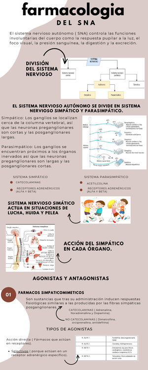 Aines fármaco - Farmacologia - Studocu
