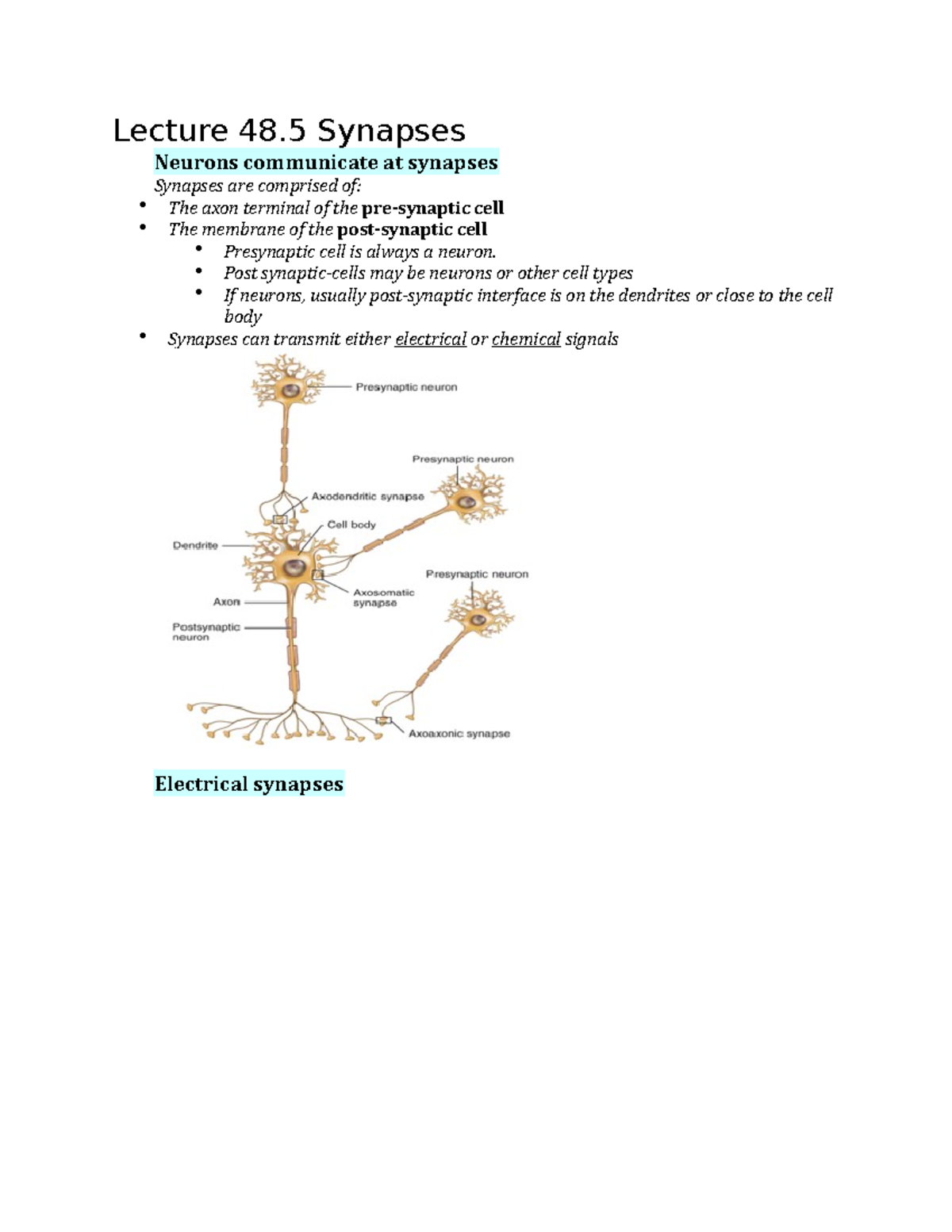 Chapter 48 part 3 - Lecture 48 Synapses Neurons communicate at synapses Synapses are comprised ...