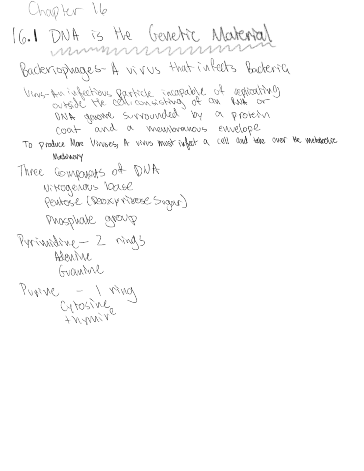AP Bio notes - Chapter 16 16 DNA is the Genetic Material A virus that ...