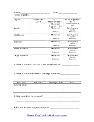 Anatomy 6 - fill in worksheets to help practice ...