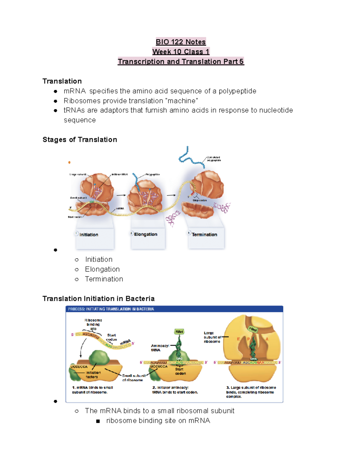 BIO 122 Week 10 Class 1 Notes - BIO 122 Notes Week 10 Class 1 ...