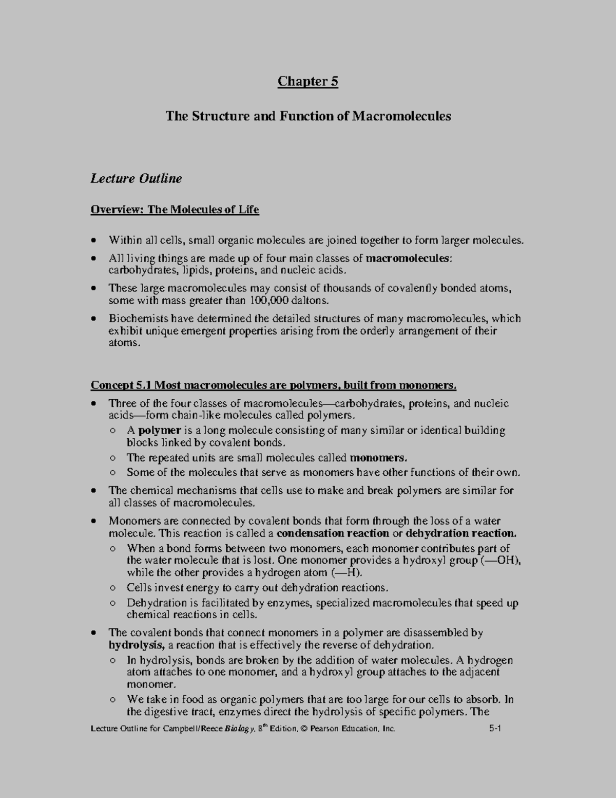 Apbio chp 5 detaillectout - Chapter 5 The Structure and Function of ...