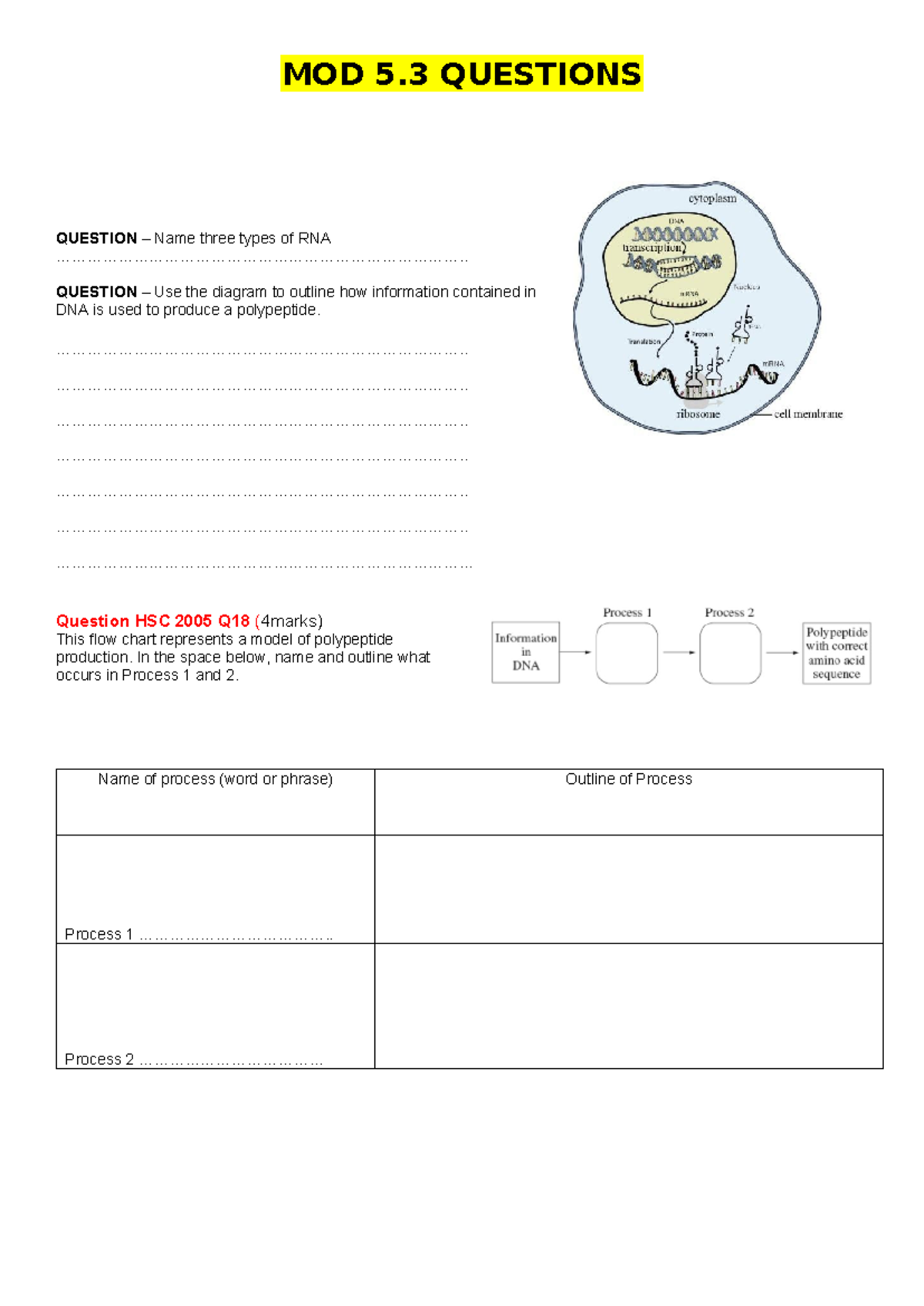 Mod 5.3 questions - MOD 5 QUESTIONS QUESTION – Name three types of RNA - Studocu