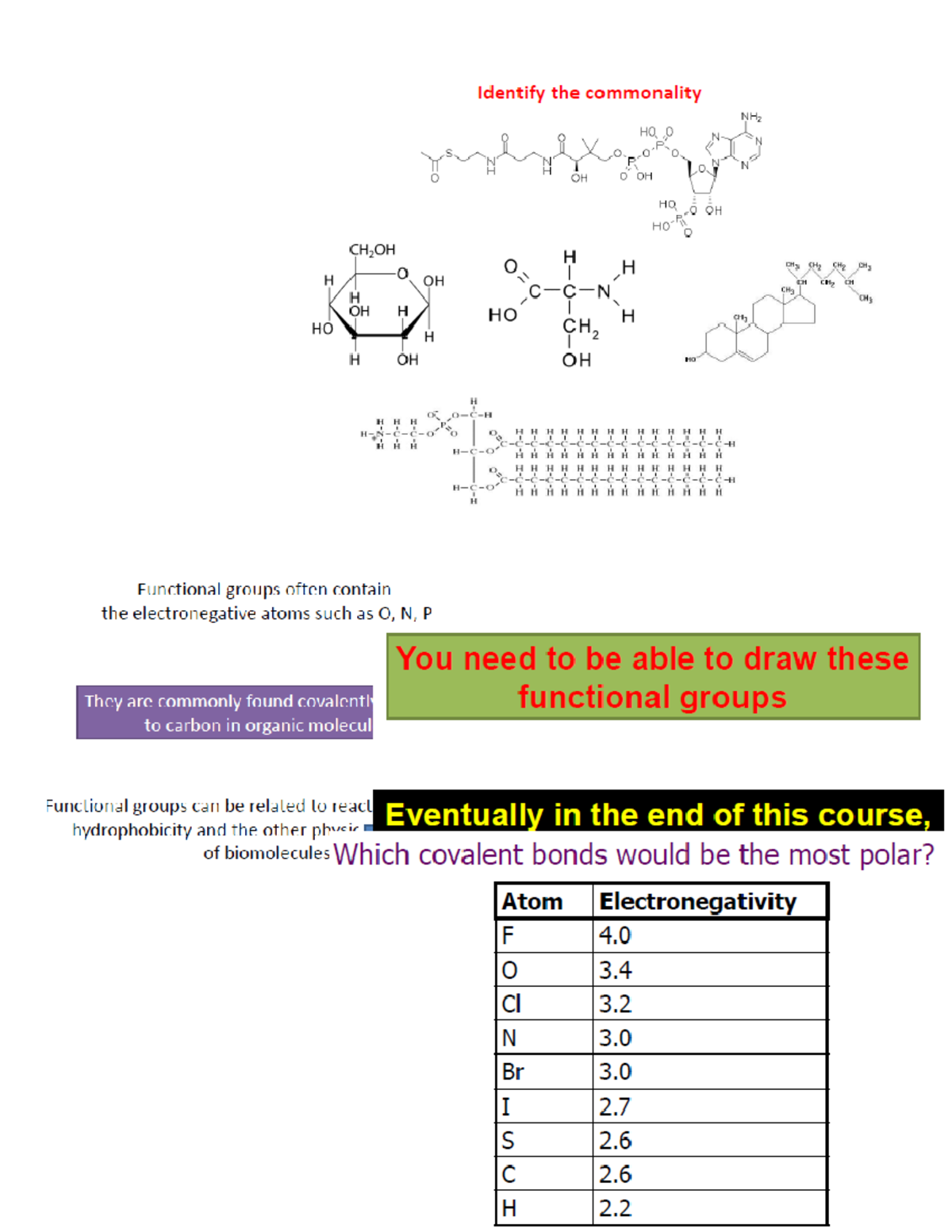 Lecture Notes Lectures 1 4 Important Lecture Concepts That Need To