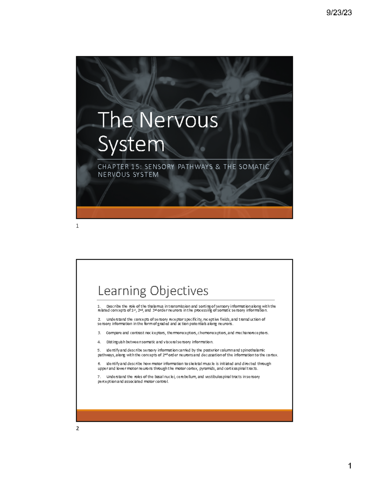 Chapter 15 Lecture Sensory Pathways & SNS - The Nervous System CHAPTER ...