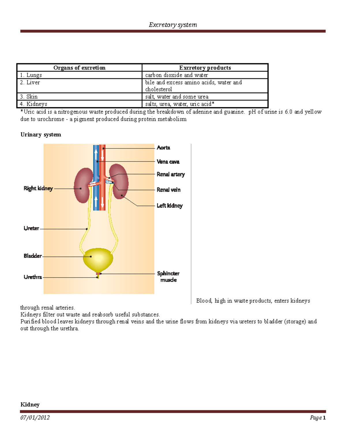3.4.6 Excretory system H 3 - Organs of excretion Excretory products ...