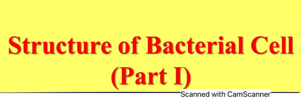 Lec 1 Structure if Bacterial cell - Bacteriology - Studocu