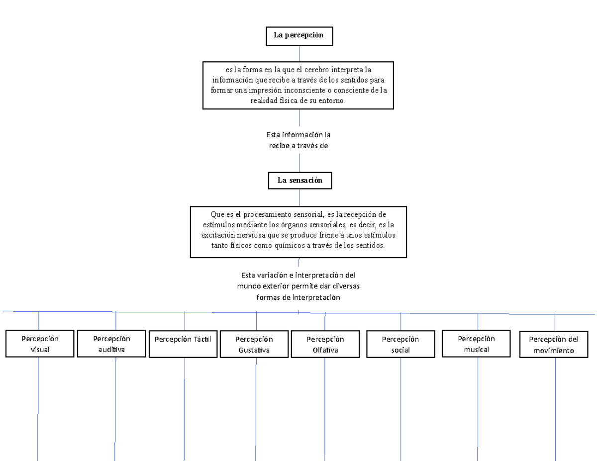 Esquema sensacion y percepcion - La percepción es la forma en la que el cerebro interpreta la ...