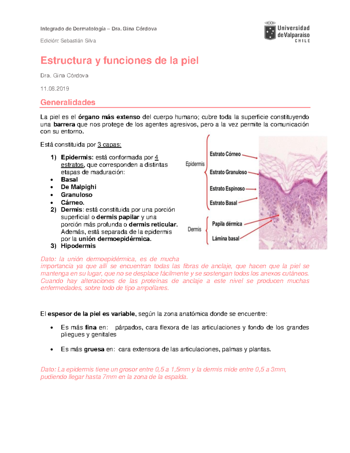 01. Estructura y Funciones de la piel - Integrado de Dra. Gina Silva ...
