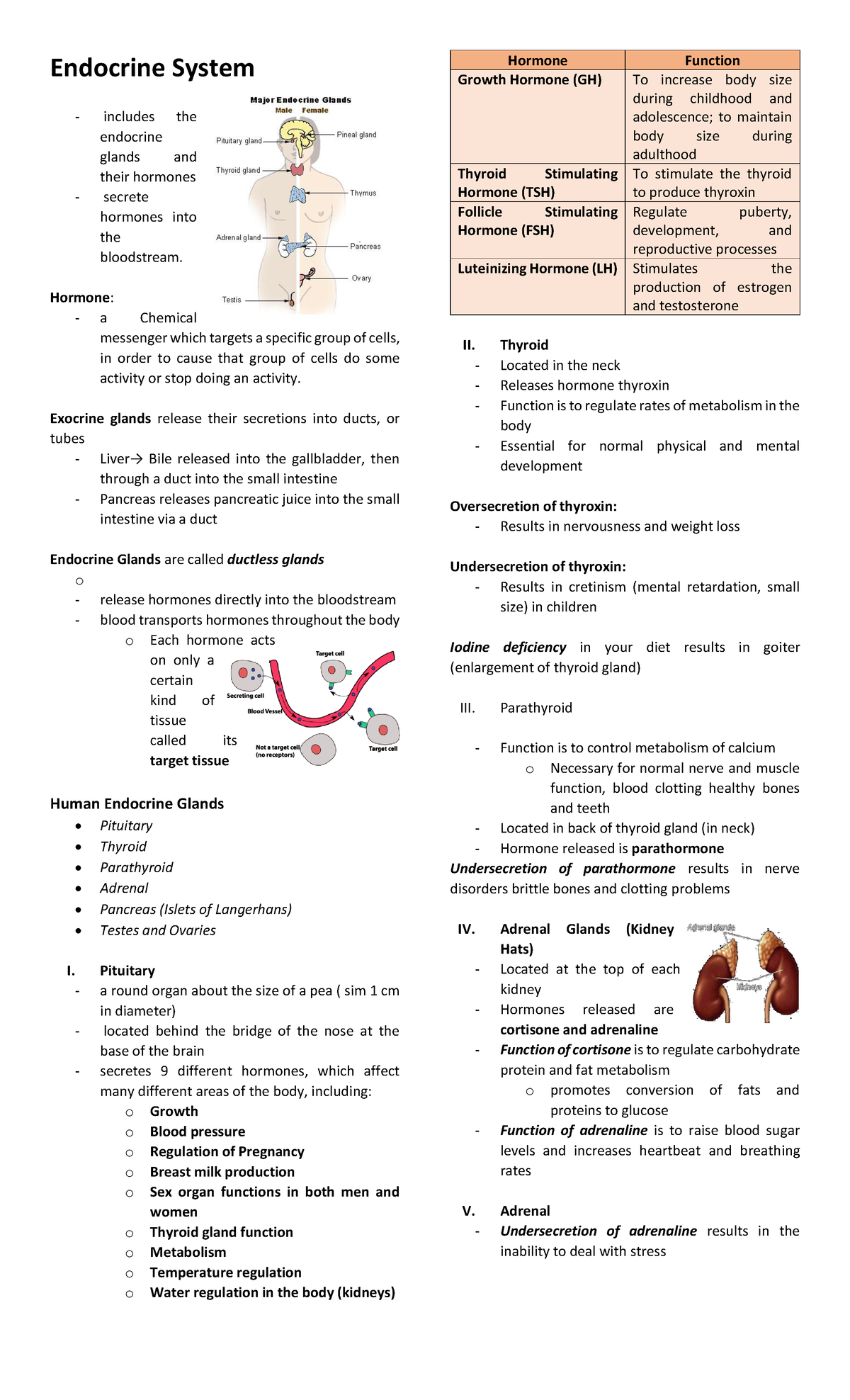 Endocrine System - Endocrine System includes the endocrine glands and ...