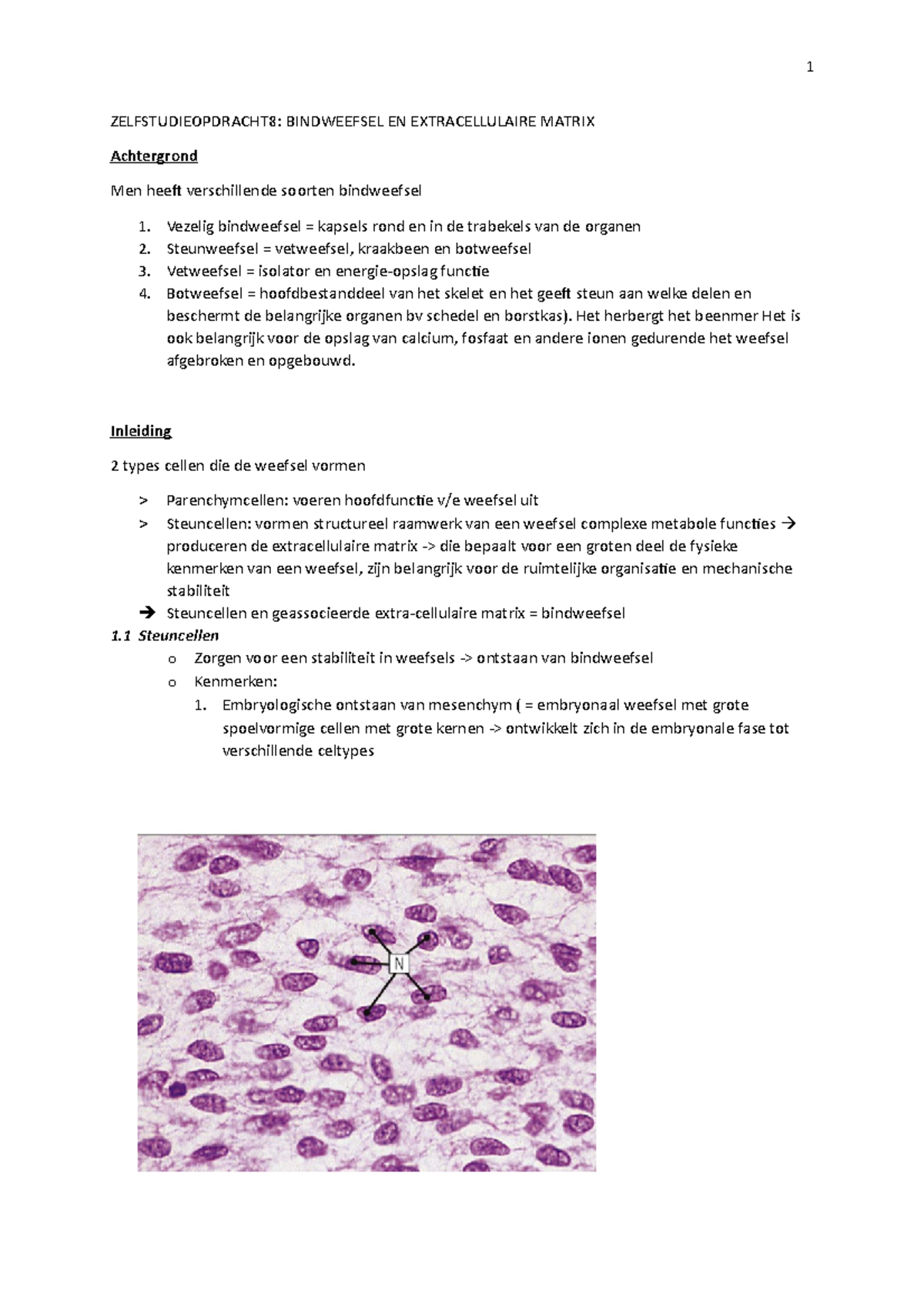 Samenvatting Human Histology - ZELFSTUDIEOPDRACHT8: BINDWEEFSEL EN ...