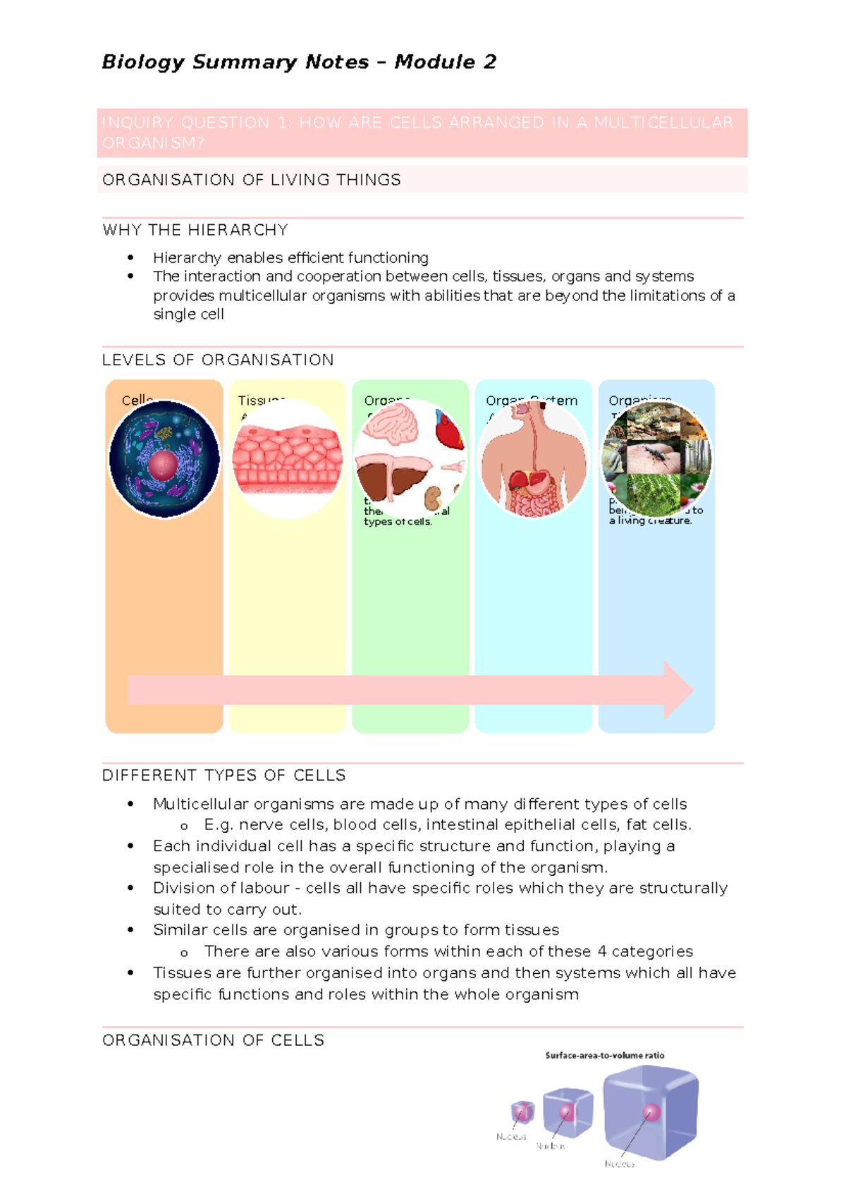 Mod 2 Notes - INQUIRY QUESTION 1: HOW ARE CELLS ARRANGED IN A ...