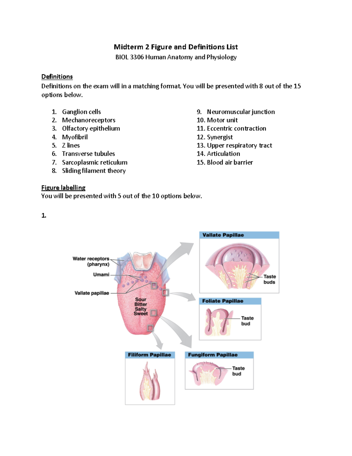 Midterm 6 December Questions And Answers Warning Tt Undefined Function 32 Midterm 2 Figure