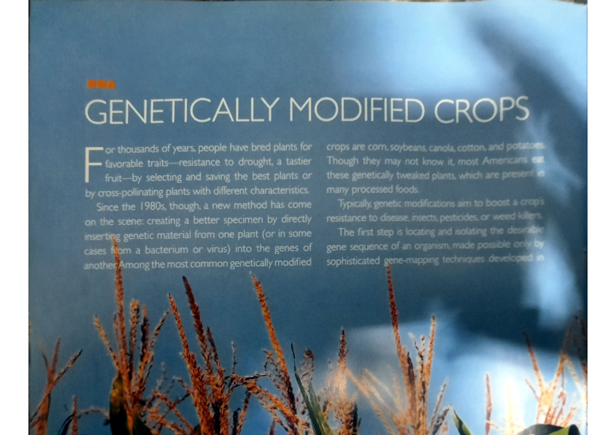 Genetically modifie crops - Bsc zoology - Studocu