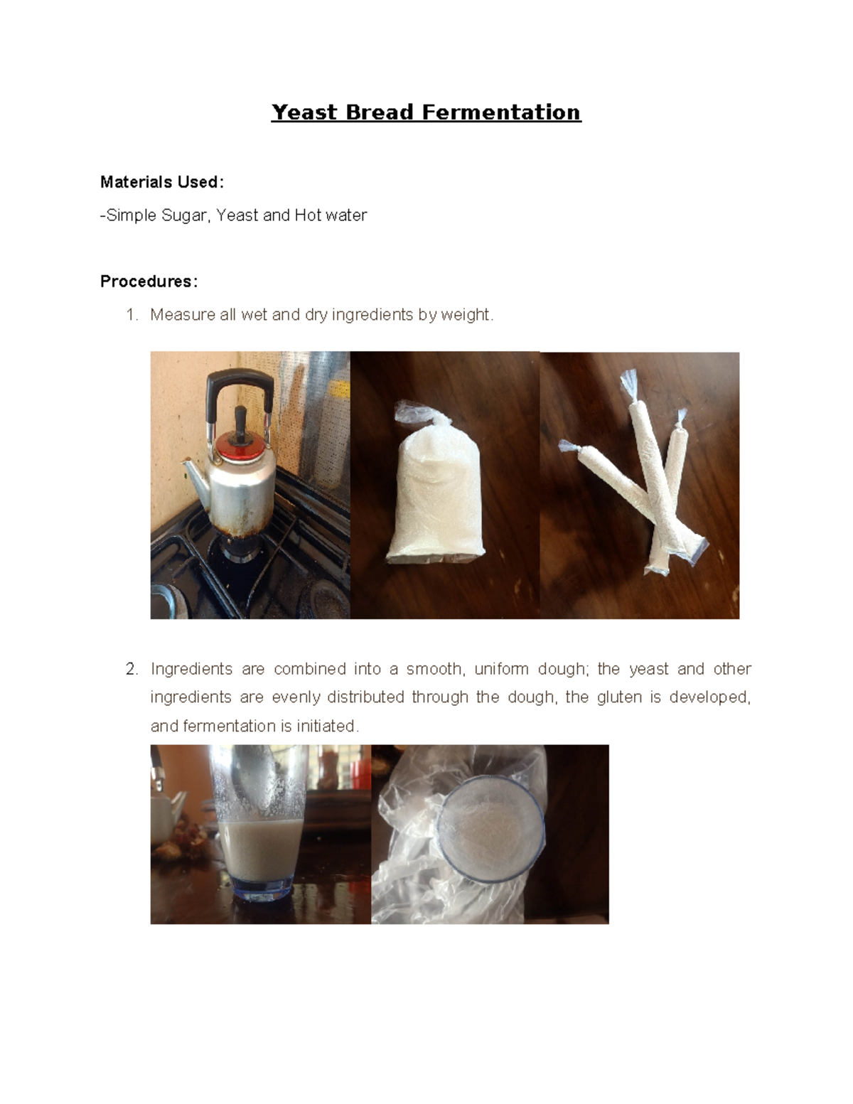 Yeast Bread Fermentation - Yeast Bread Fermentation Materials Used ...