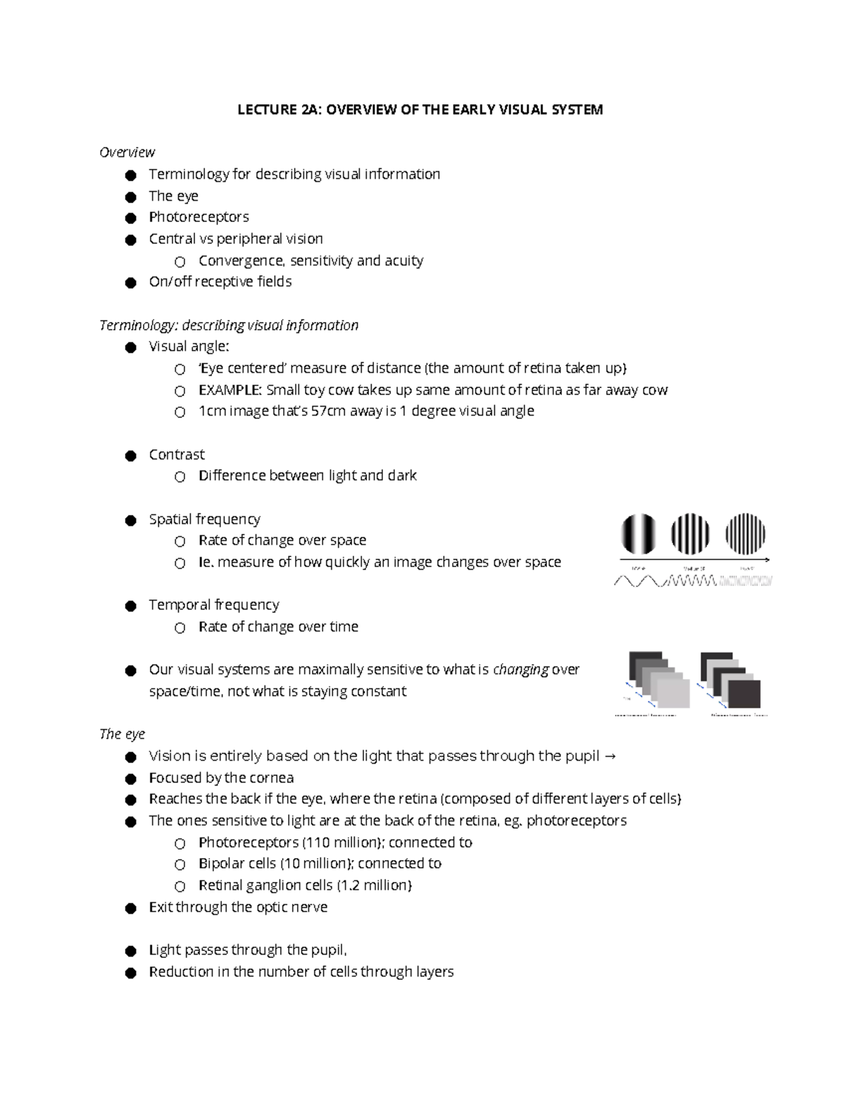 Lecture 2a Overview Of The Early Visual System Lecture 2a Overview Of The Early Visual System