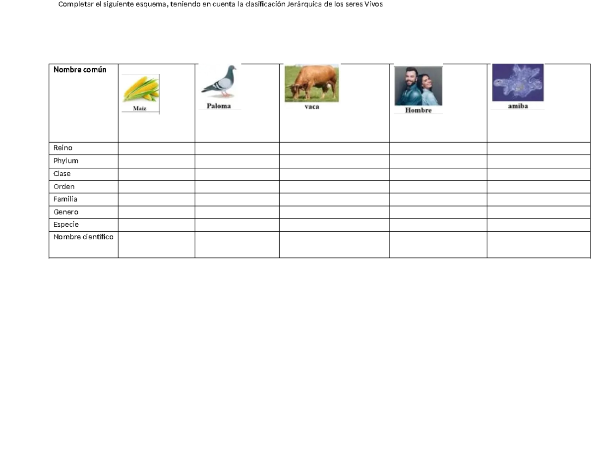 clasificación seres vivos - General Science - Nombre común Reino Phylum ...