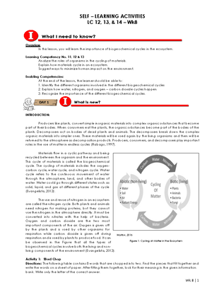 Rubric for DNA Bio - None - Grading Rubric for DNA Model 4 3 2 1 0 ...