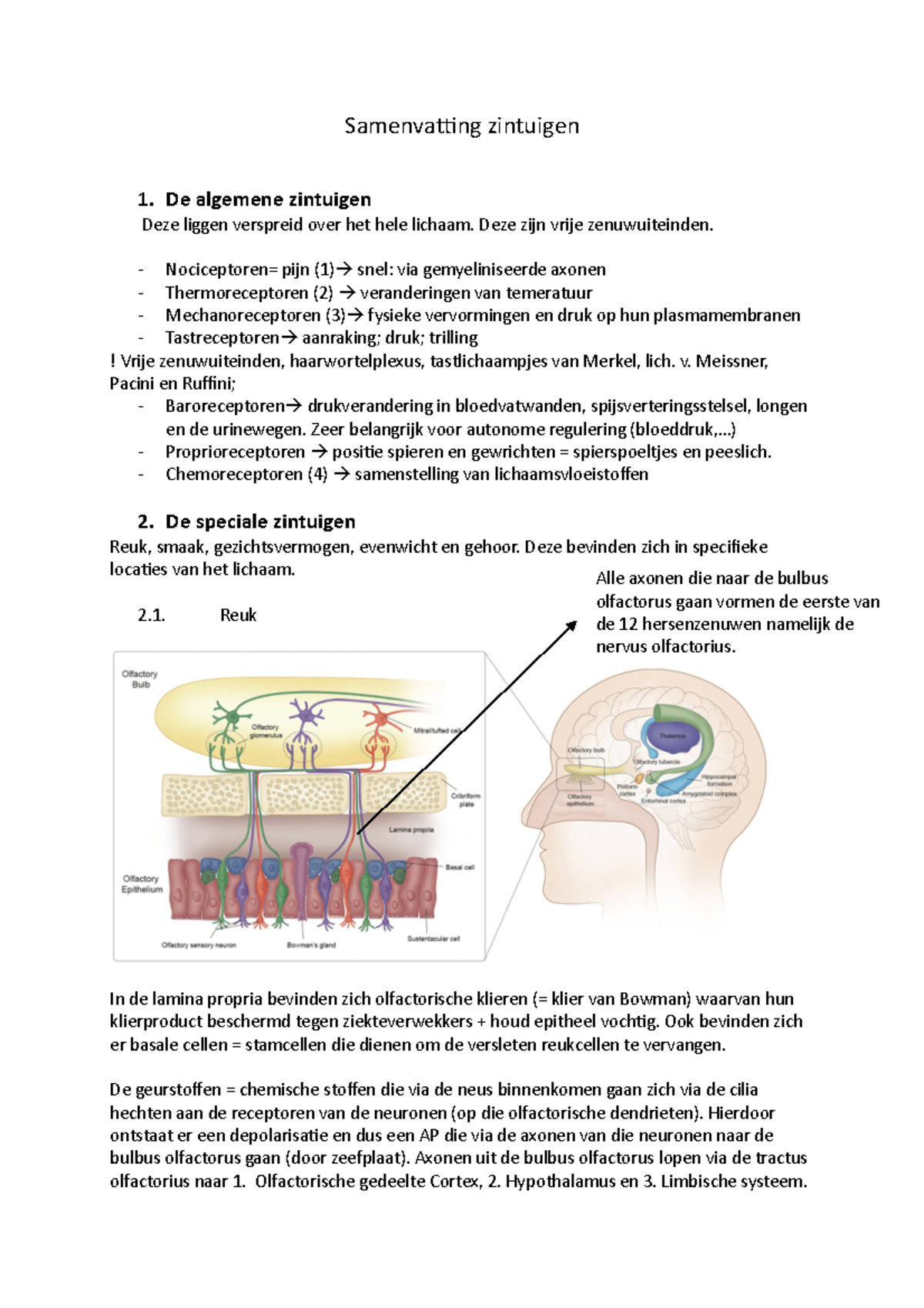 Zintuigen - Samenva'ng zintuigen 1. De algemene zintuigen Deze liggen ...
