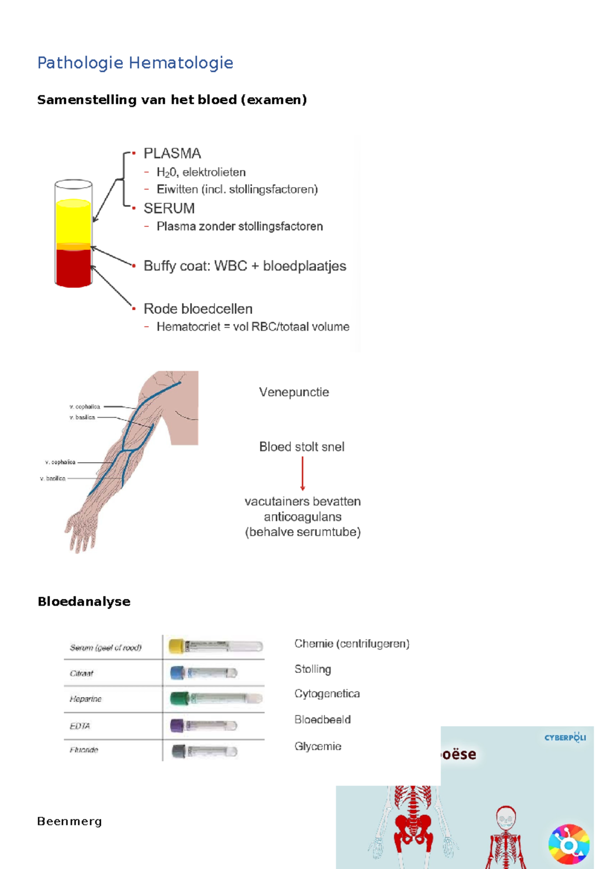 Pathologie Hematologie - Pathologie Hematologie Samenstelling van het ...