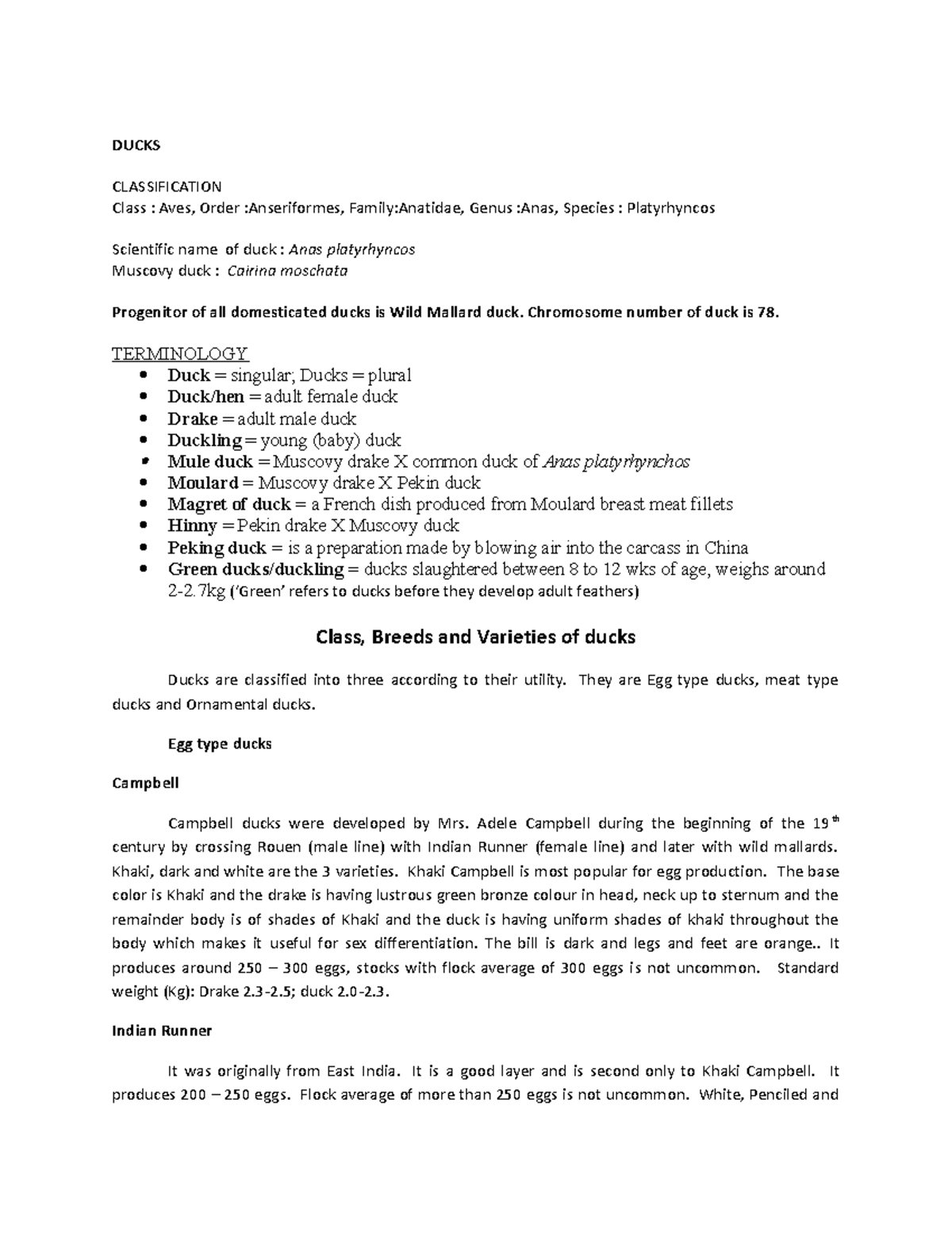 Breeds of ducks - DUCKS CLASSIFICATION Class : Aves, Order ...