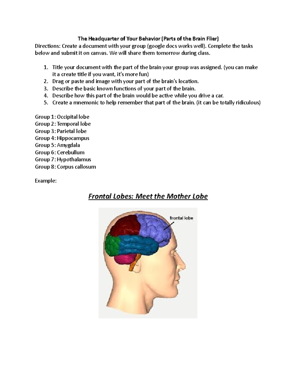 Brain Parts Flier - The Headquarter of Your Behavior (Parts of the ...