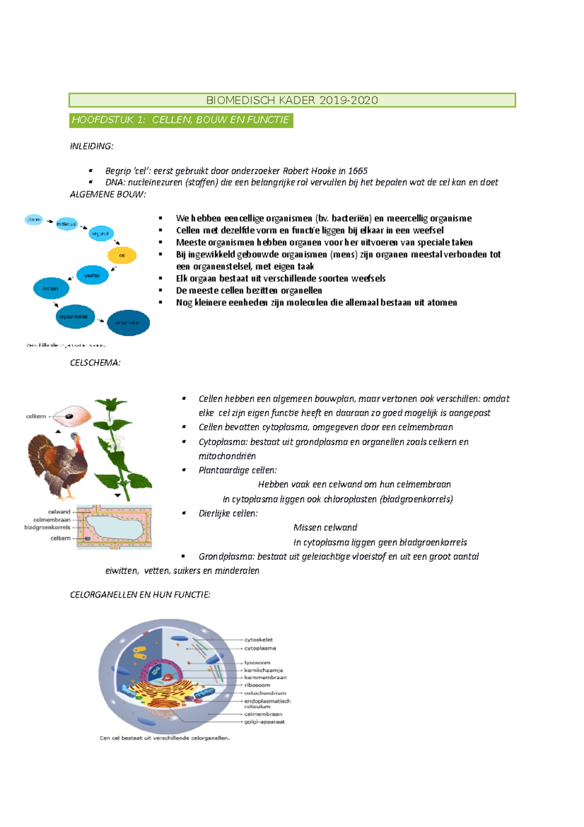 Biomedisch Kader SV - 1ste jaar - BIOMEDISCH KADER 2019- HOOFDSTUK 1 ...