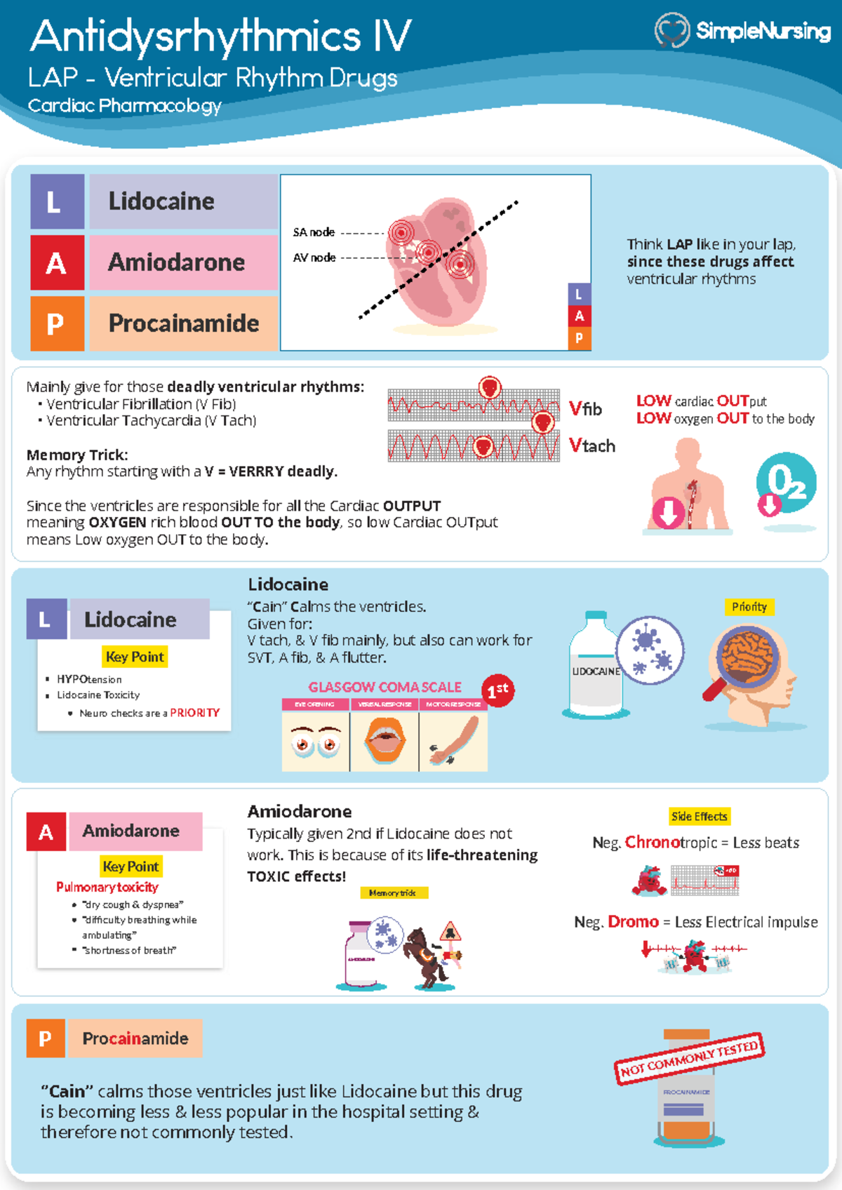 1.4 Antidysrhythmics IV - Antidysrhythmics IV LAP - Ventricular Rhythm ...
