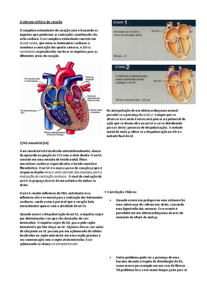 Cardio 2 - Resumo anatopato - Warning: TT: undefined function: 32 Warning: TT: undefined ...