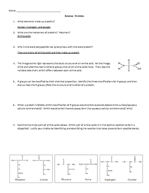 Online Mitosis Lab - Go to biology.arizona 2. Click on Cell Biology 3 ...