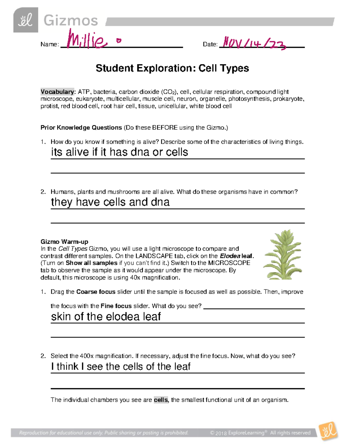 Cell Types Part 1 Gizmo - idk this is for 8th graders lol - Name: Date ...