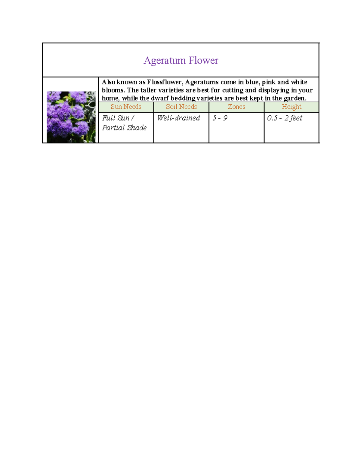 Ageratum Flower ( Assignment 3) - accounting information system - Ageratum Flower Also known as ...