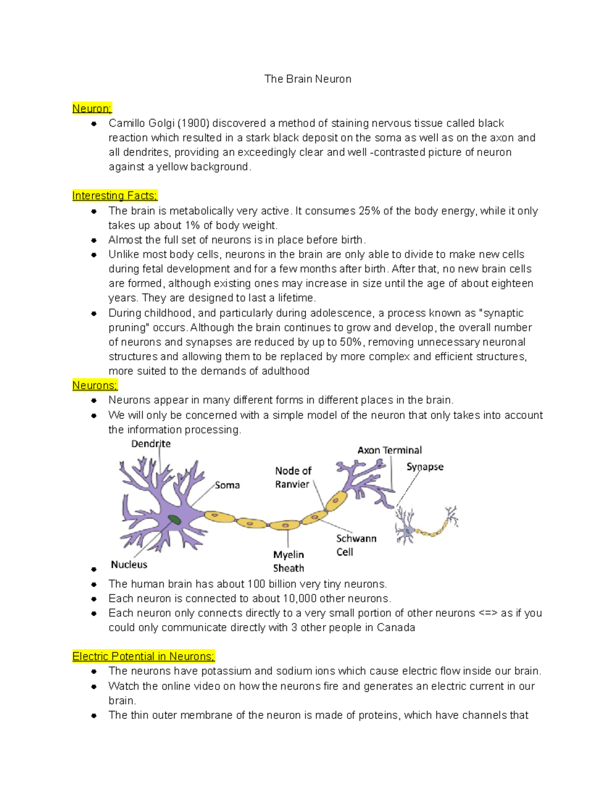 The Brain Neuron - Lecture notes 3 - The Brain Neuron Neuron; Camillo ...