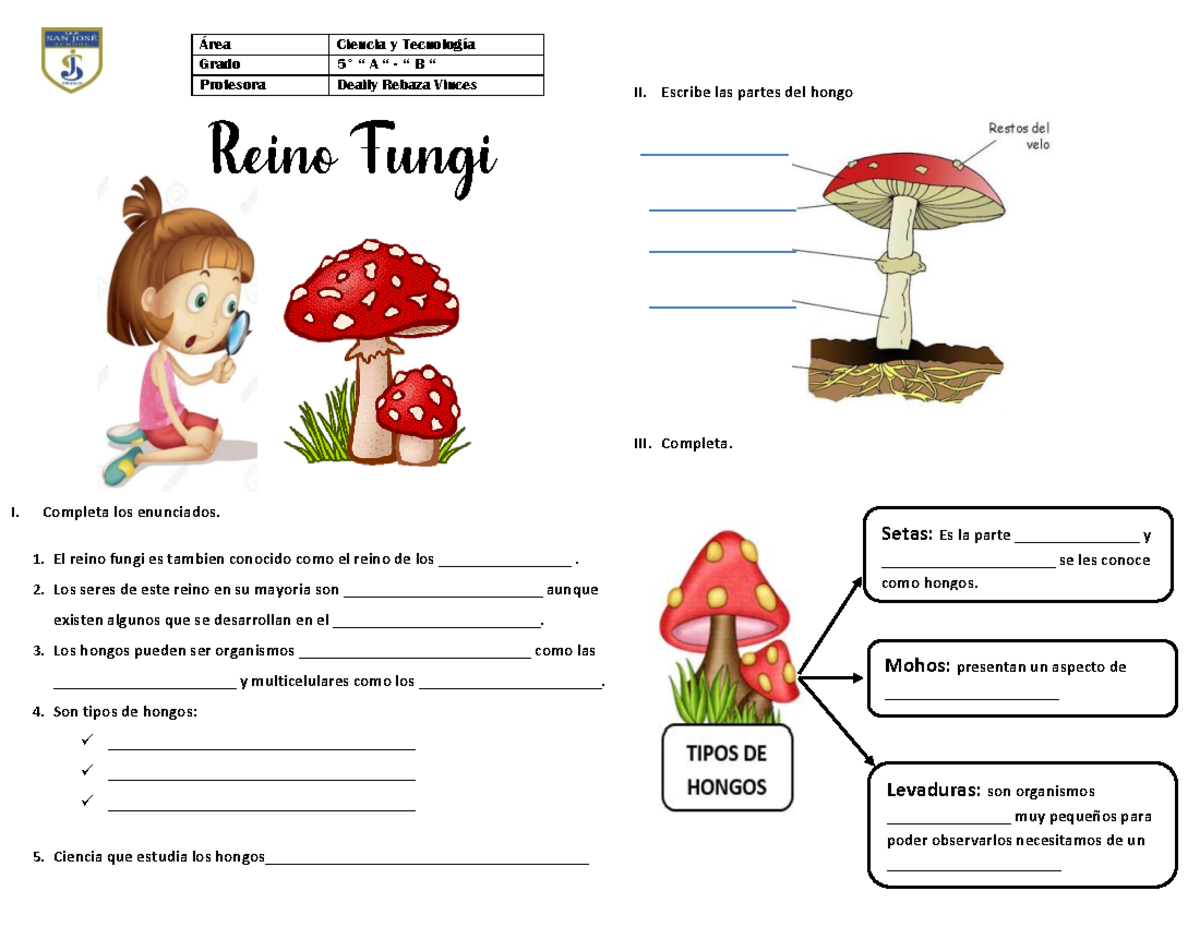 Reino Fungi - ij, - I. Completa los enunciados. 1. El reino fungi es ...