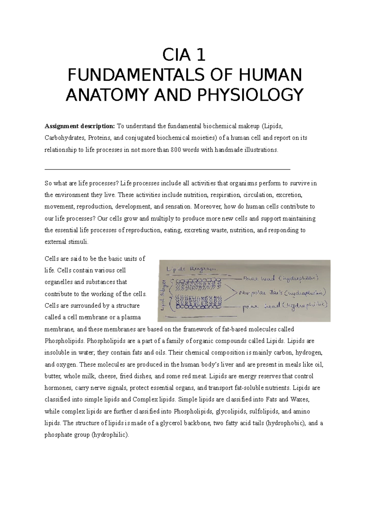 CIA 1 - CIA 1 - CIA 1 FUNDAMENTALS OF HUMAN ANATOMY AND PHYSIOLOGY ...