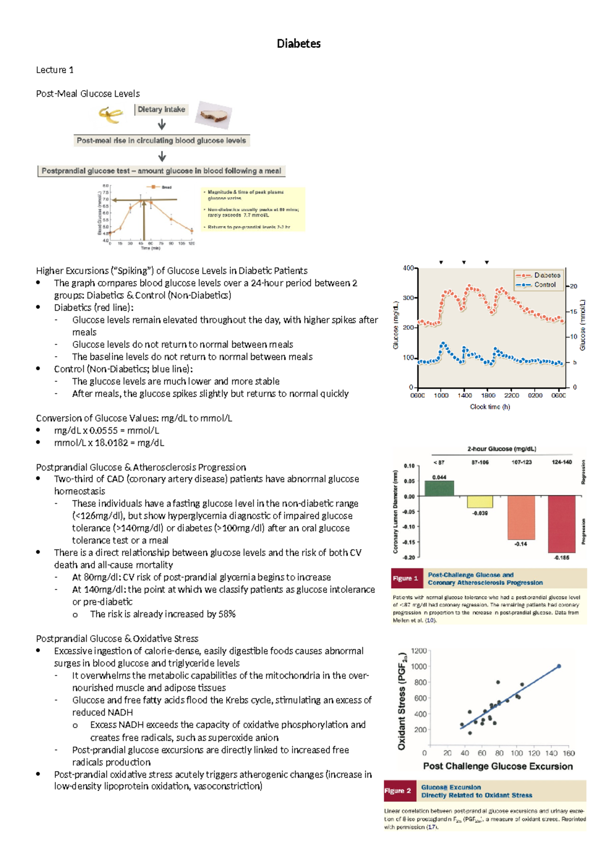 Diabetes Notes Week 1 - Diabetes Lecture 1 Post-Meal Glucose Levels ...