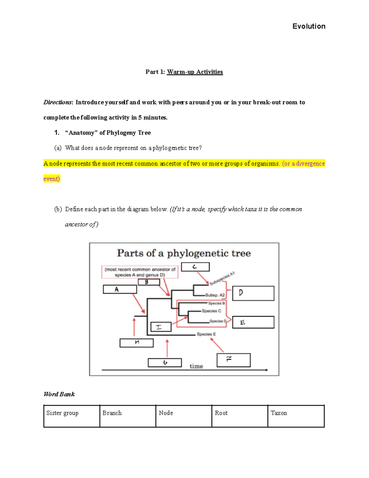 Worksheet Evolution - Part 1: Warm-up Activities Directions: Introduce ...