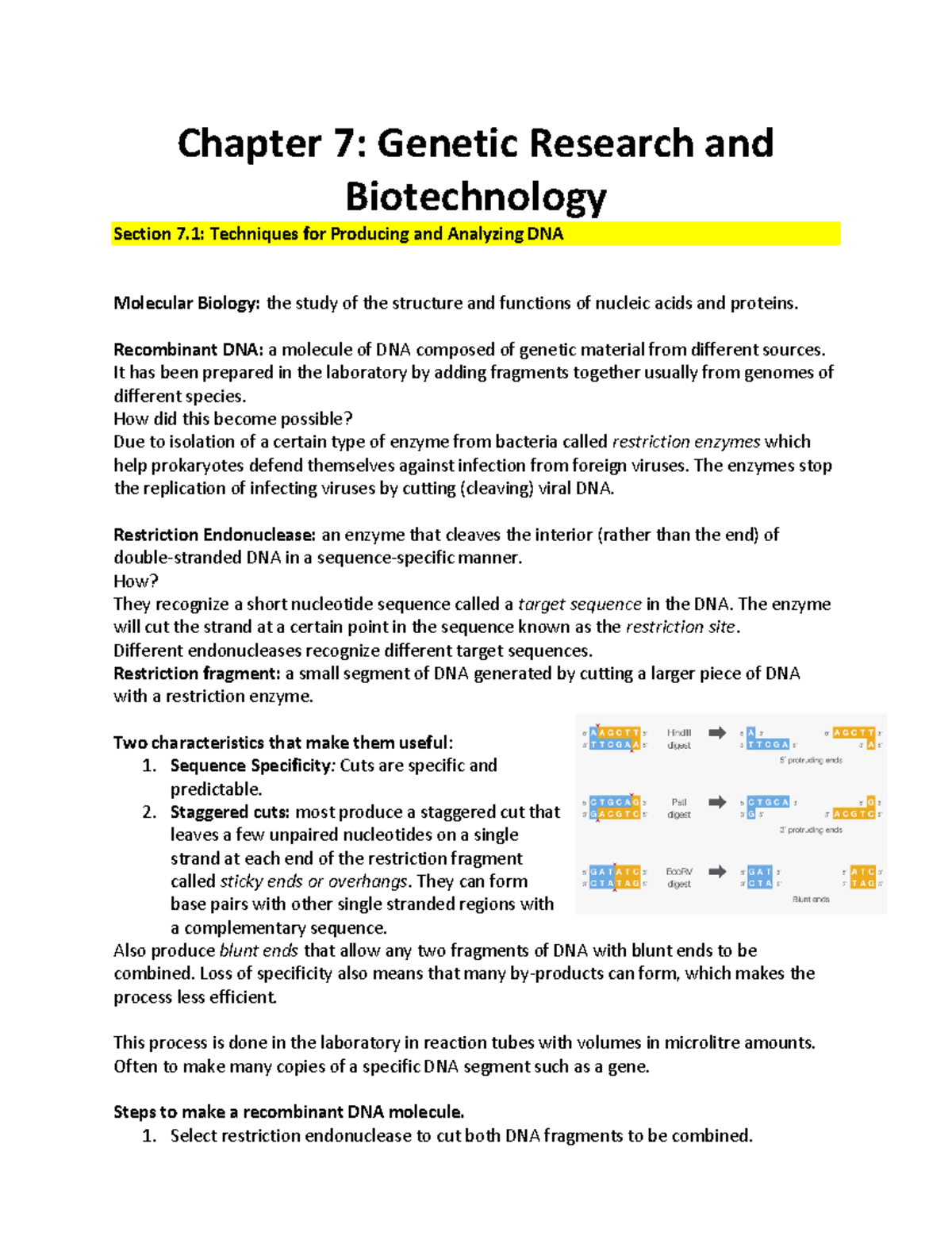 Section 7.1 Techniques for producing and analyzing DNA - Chapter 7 ...